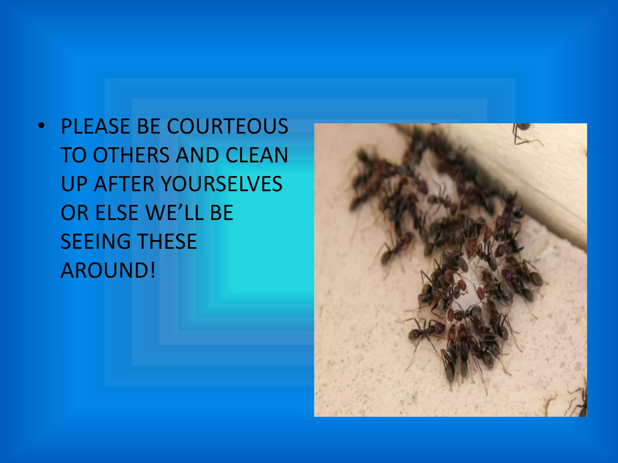 Clean up after yourselves! | PPTX
