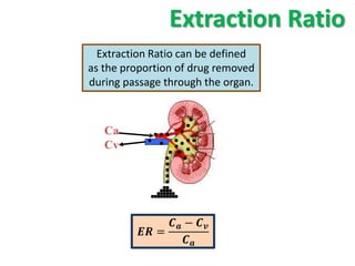 Pharmacokinetics: Lecture Three | PDF