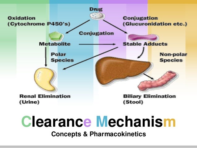 Clearance Mechanism (Biopharmaceutics)