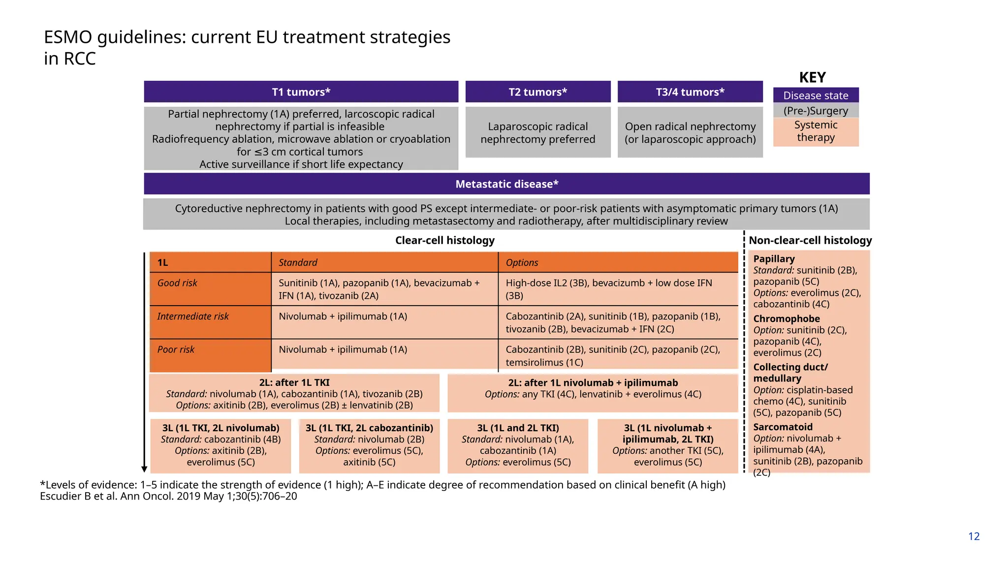 Clear cell RCC and non-clear cell RCC treatment appraoches.pptx