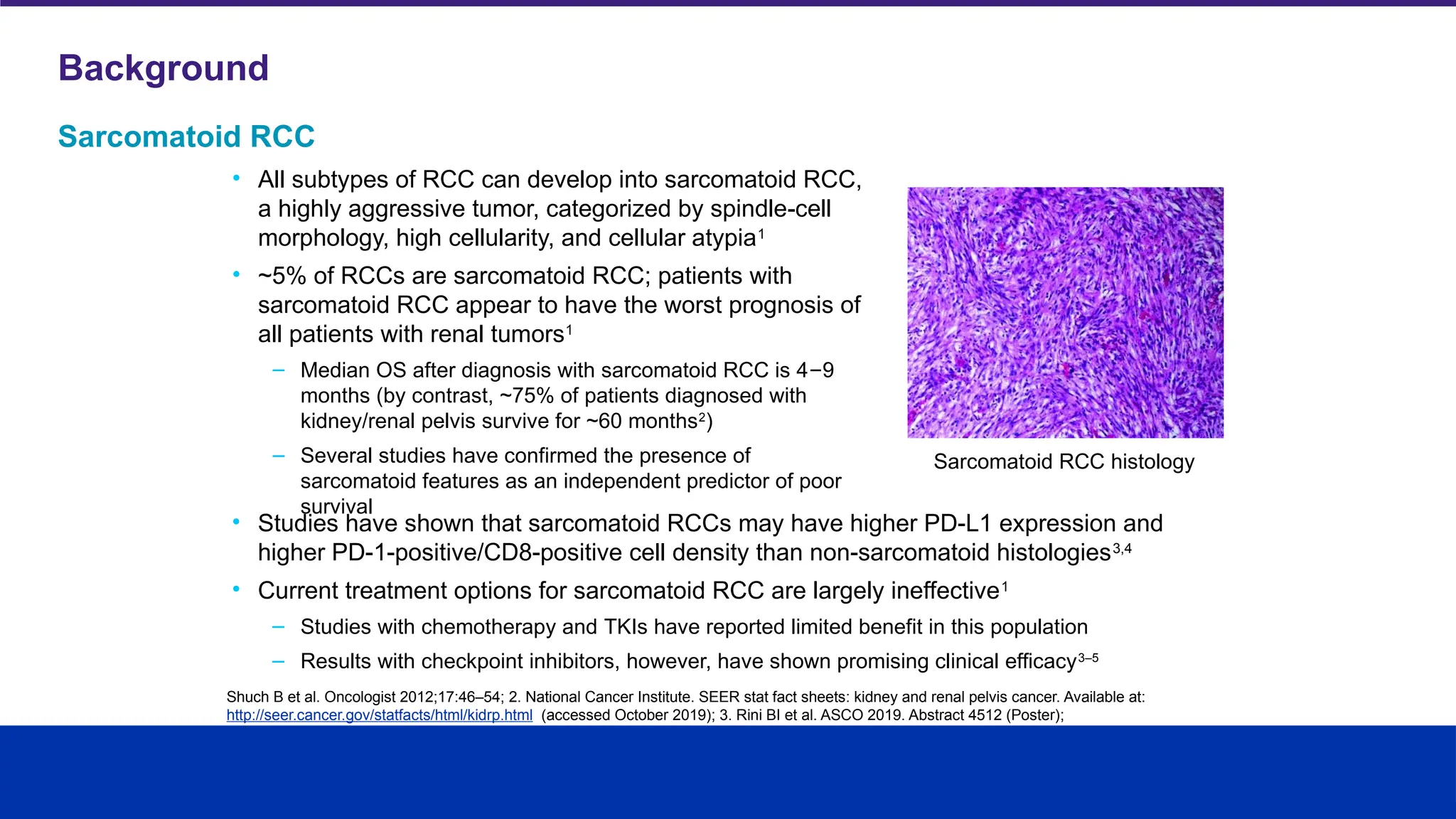 Clear cell RCC and non-clear cell RCC treatment appraoches.pptx