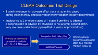 Clear_Primary_prevention methods_ADAppt | PPT