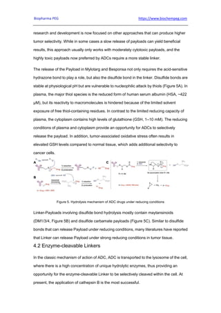 Cleavable Linkers Used In ADC Development.pdf
