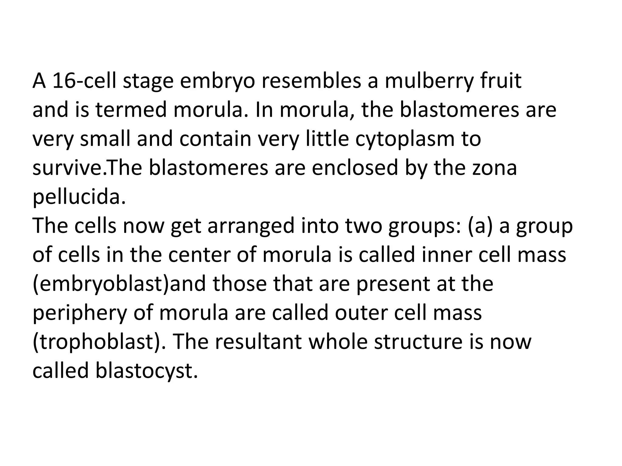 Cleavage by Tauqeer Ahmad | PPTX