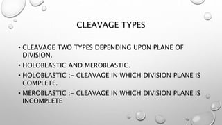 Cleavage | PPT