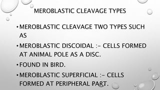 Cleavage | PPT
