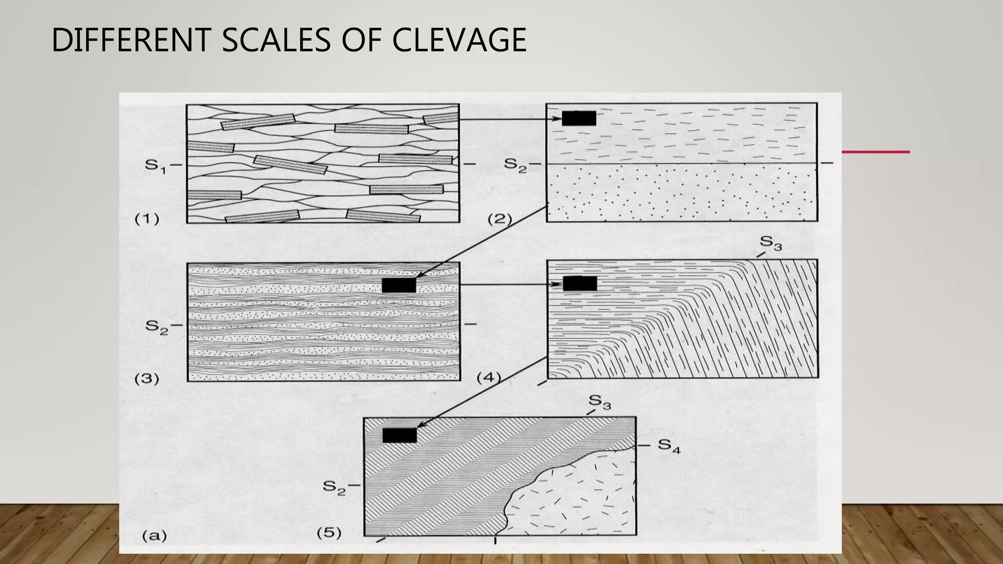 Cleavage | PPTX