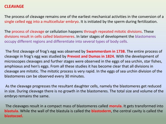 Cleavage, Types of cleavage | PPTX | Biological Sciences | Science
