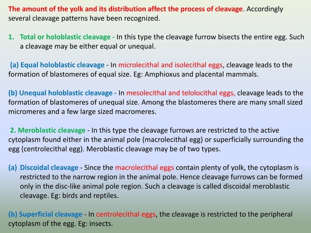 Cleavage, Types of cleavage | PPTX | Biological Sciences | Science