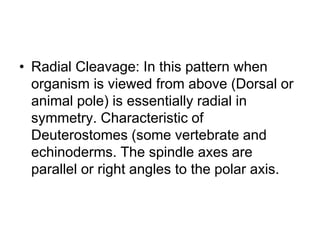 Cleavage | PPT