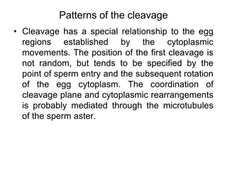 Cleavage | PPT