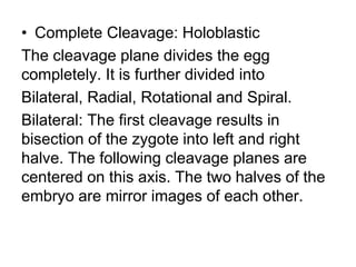 Cleavage | PPT