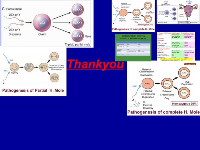 Cleavage.ppt presented by dr hanif sheikh sb | PPT