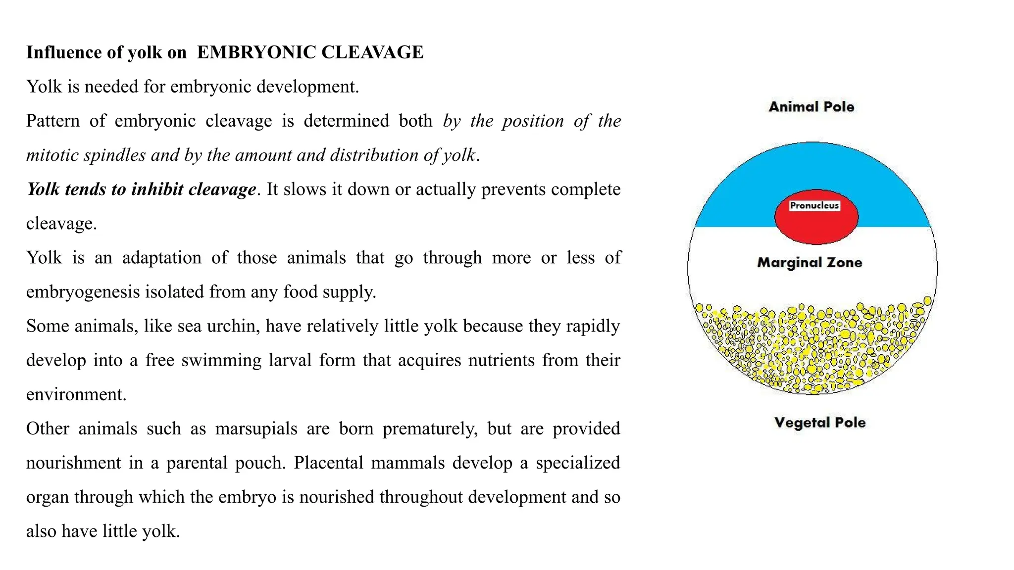 cleavage and its types functions and pptx | PPTX