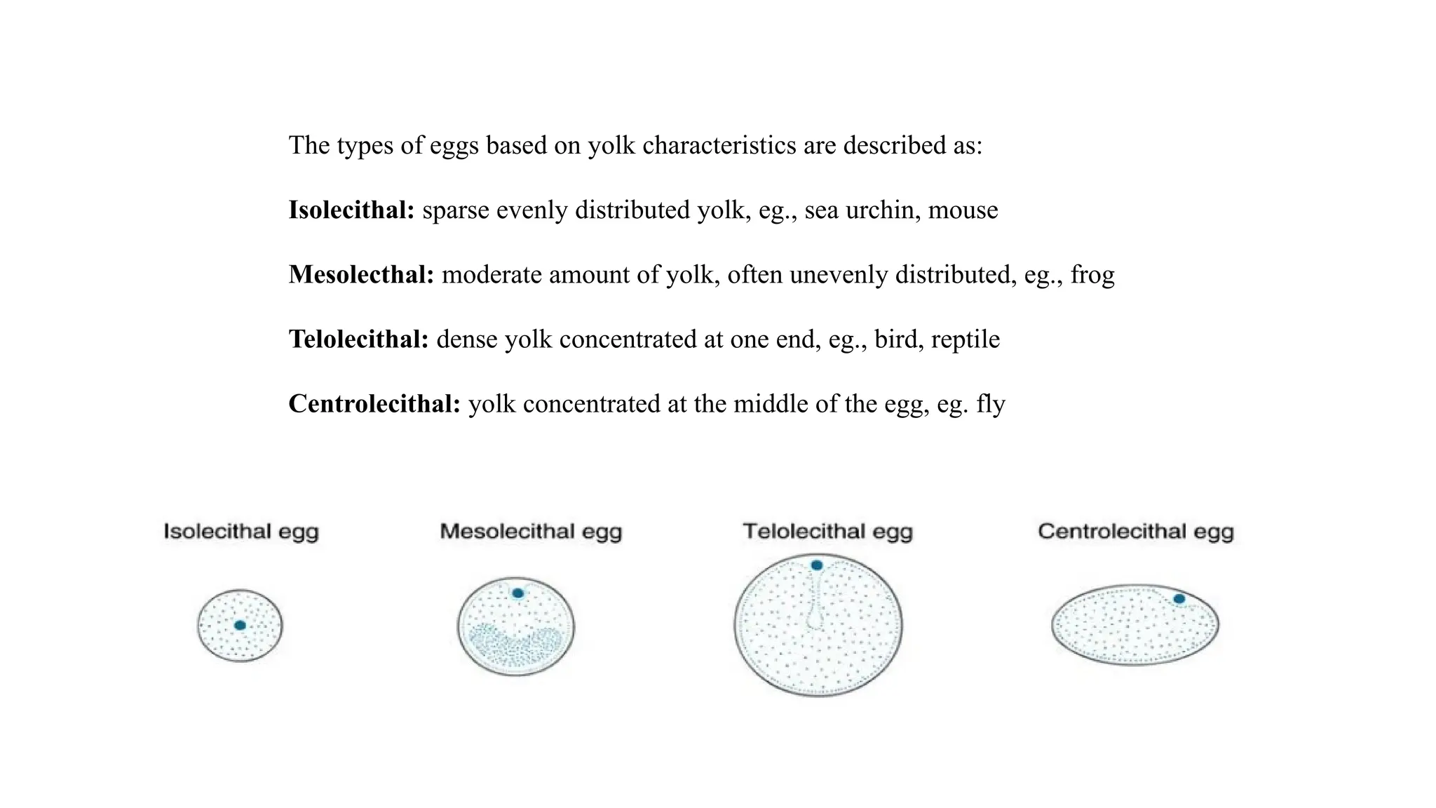 cleavage and its types functions and pptx | PPTX