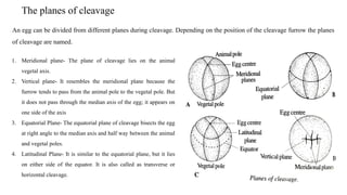 cleavage and its types functions and pptx | PPTX