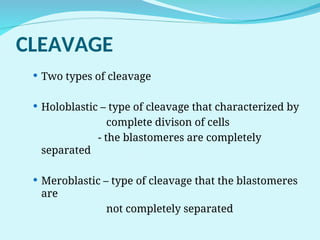 CLEAVAGE formation of animal development | PPT