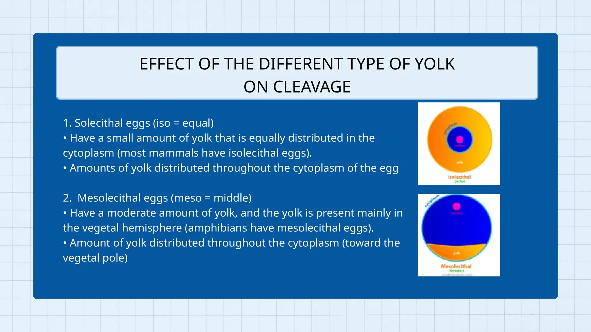 CLEVAGE of Fertilization and the part EG | PPTX