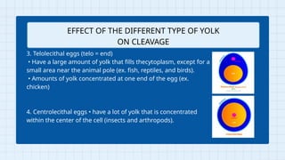 CLEVAGE of Fertilization and the part EG | PPTX