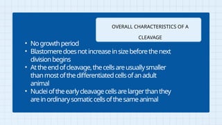 CLEVAGE of Fertilization and the part EG | PPTX