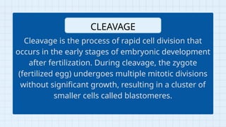 CLEVAGE of Fertilization and the part EG | PPTX