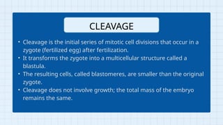 CLEVAGE of Fertilization and the part EG | PPTX
