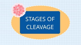CLEVAGE of Fertilization and the part EG | PPTX