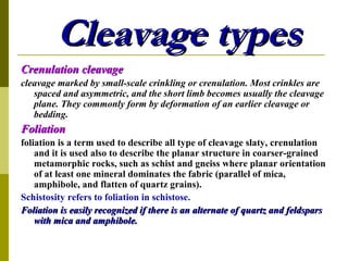 Cleavage | PPT