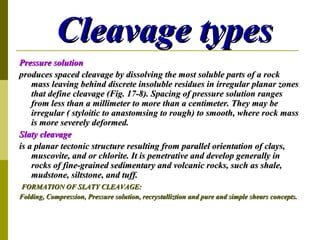 Cleavage | PPT