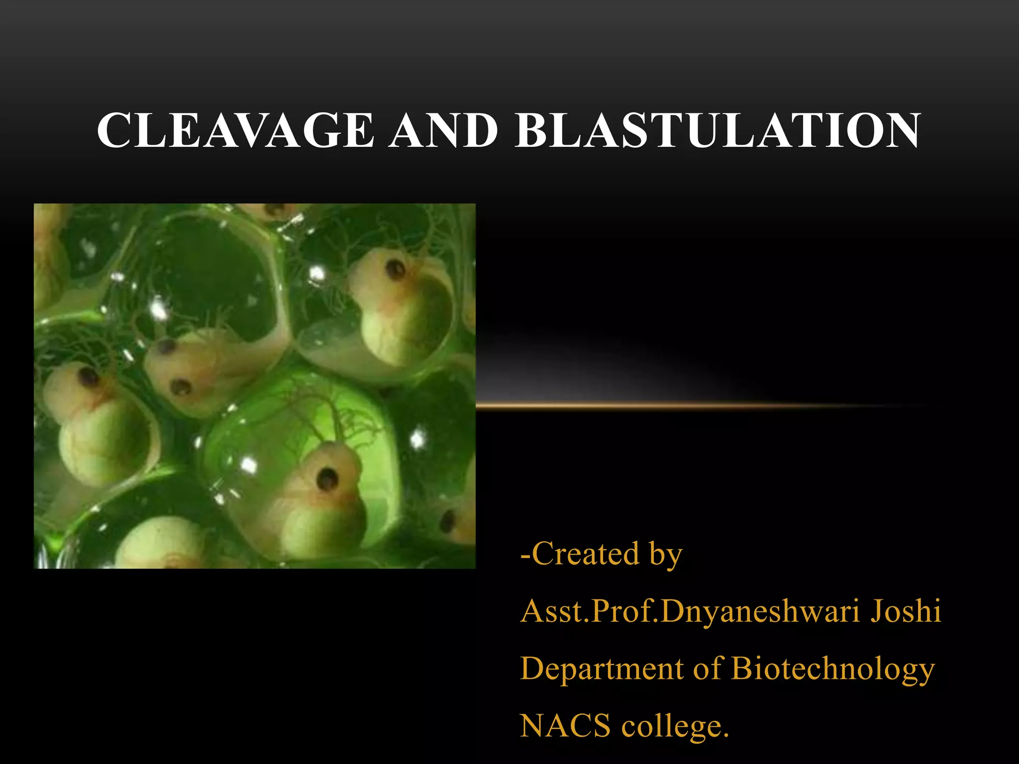 Cleavage and blastulation | PPTX