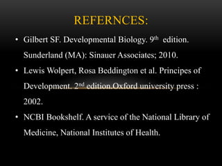 Cleavage and blastulation | PPTX