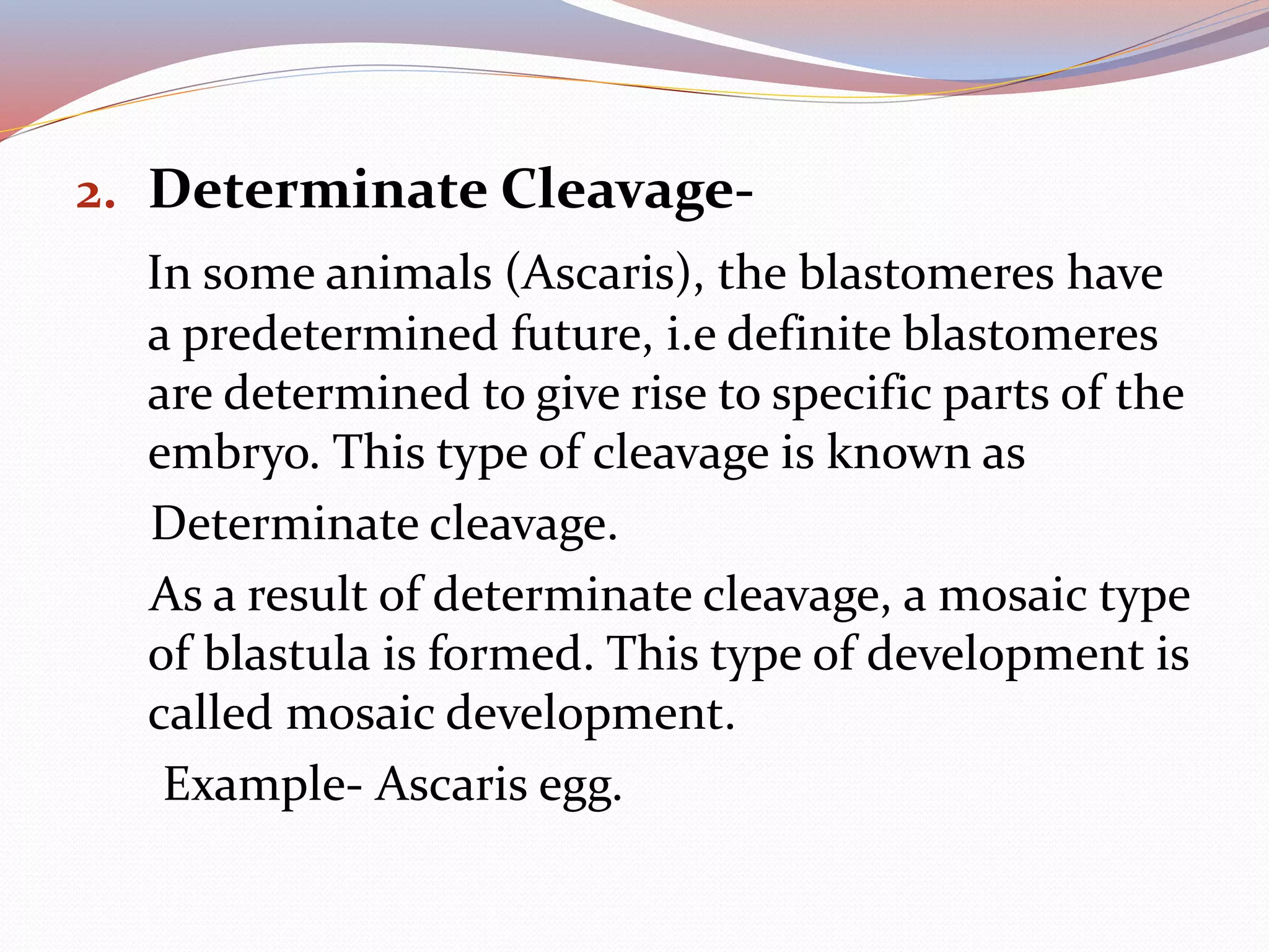 Cleavage and its patterns | PPTX