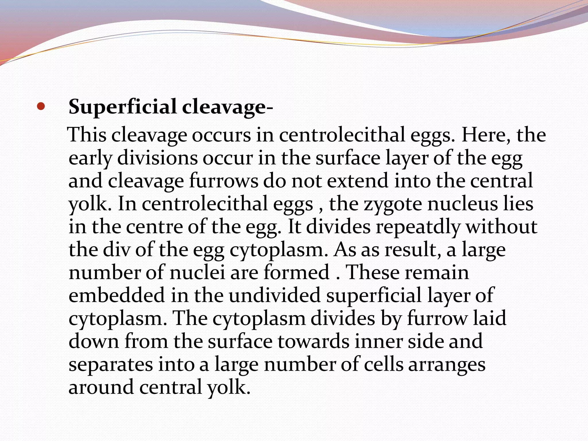 Cleavage and its patterns | PPTX