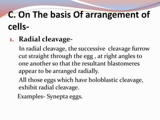 Cleavage and its patterns | PPTX