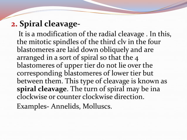Cleavage and its patterns | PPTX