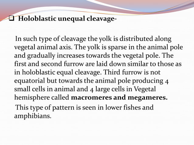 Cleavage and its patterns | PPTX