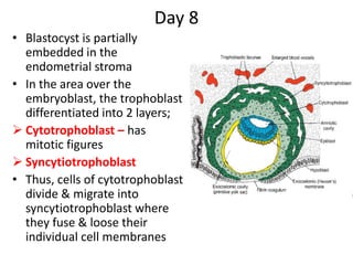 Cleavage, Blastocyte formation and Implantation.pptx