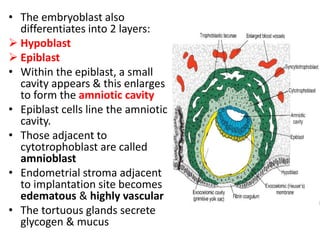 Cleavage, Blastocyte formation and Implantation.pptx