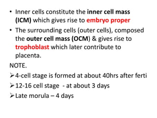 Cleavage, Blastocyte formation and Implantation.pptx