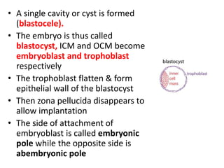 Cleavage, Blastocyte formation and Implantation.pptx