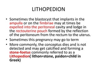 Cleavage, implantation of the embryo and bilaminar | PPTX