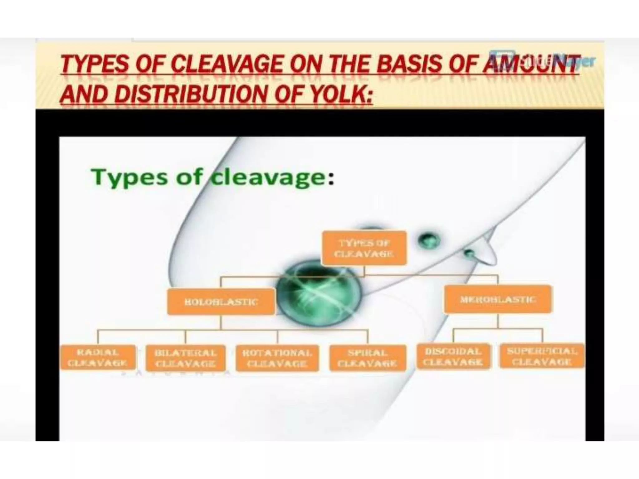 pattern and mechanism of cleavage | PPTX