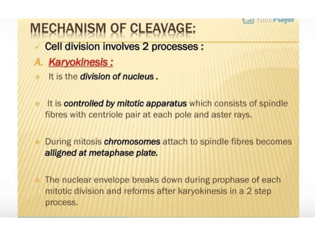 pattern and mechanism of cleavage | PPT