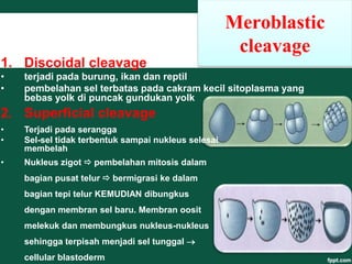 Cleavage orchidaceae | PPT