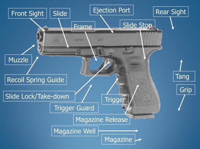 Cleet firearms nomenclature | PPTX