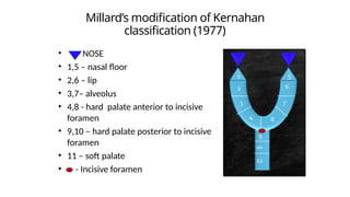 Management of Cleft Lip and Palate - Orthodontics | PPTX