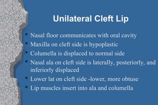 cleft-lip-palate-9801.ppt prosthodontics ppt | PPT