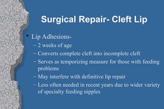 cleft-lip-palate-9801.ppt prosthodontics ppt | PPT