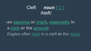 cleft-sentences-grammar-and-exercises-b1-over-grammar-drills_129973.pptx