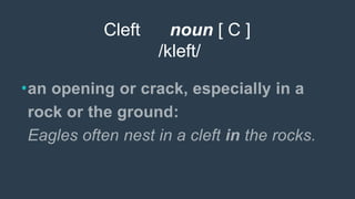 cleft-sentences-grammar-and-exercises-b1-over-grammar-drills_129973.pptx